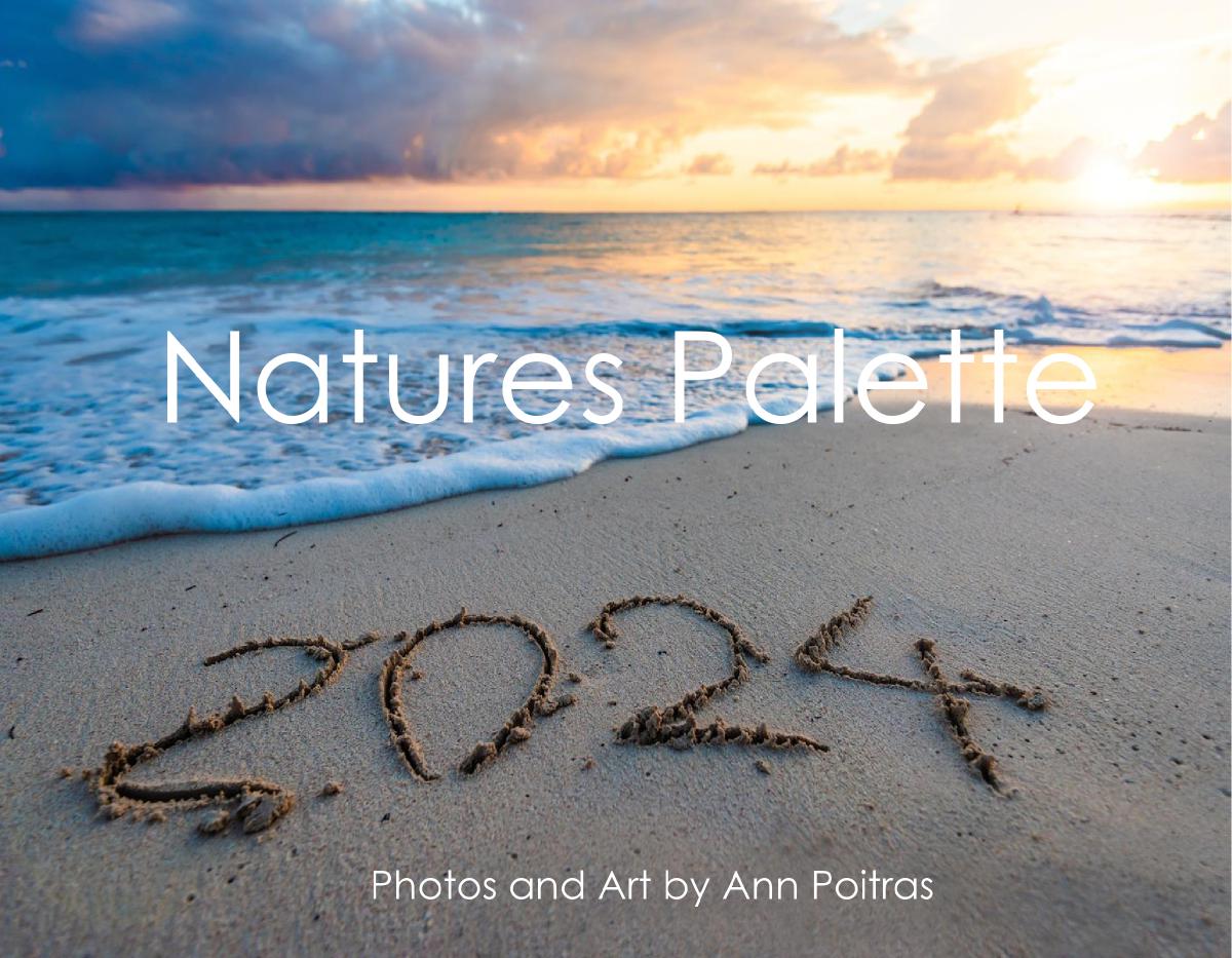 Ann Poitras Art Store | Create Photo Calendars