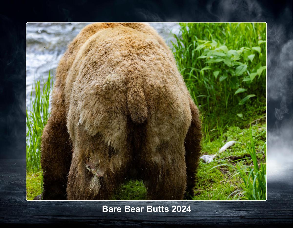 Cory J Cravatta Art Store | Create Photo Calendars