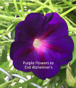 Purple Flowers to End Alzheimers Store | Create Photo Calendars
