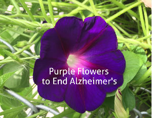 Purple Flowers to End Alzheimers Store | Create Photo Calendars