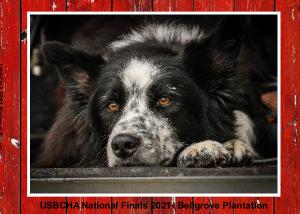 Create Hard-Cover 8.5x11 Photo Books Online