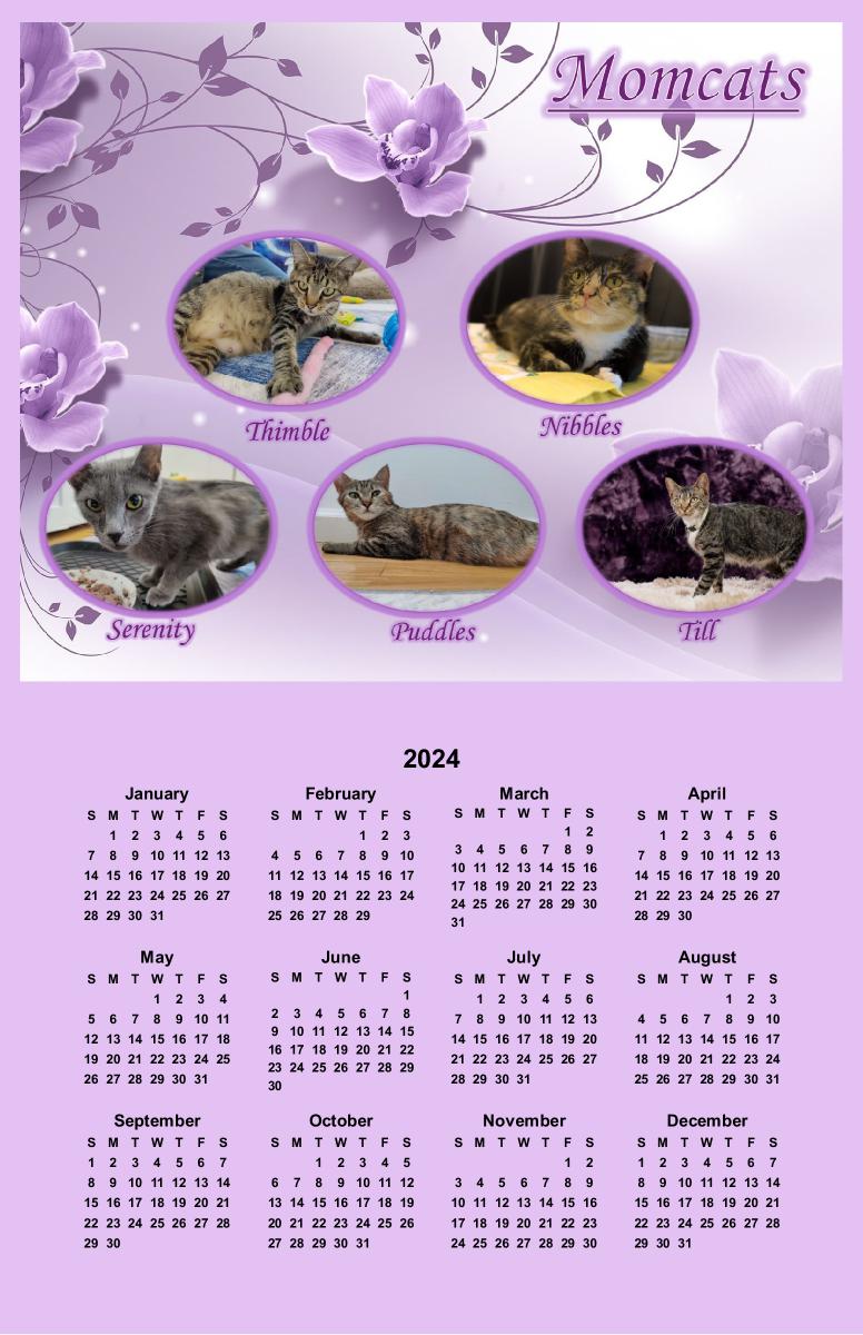 Momcats Calendar | Create Photo Calendars