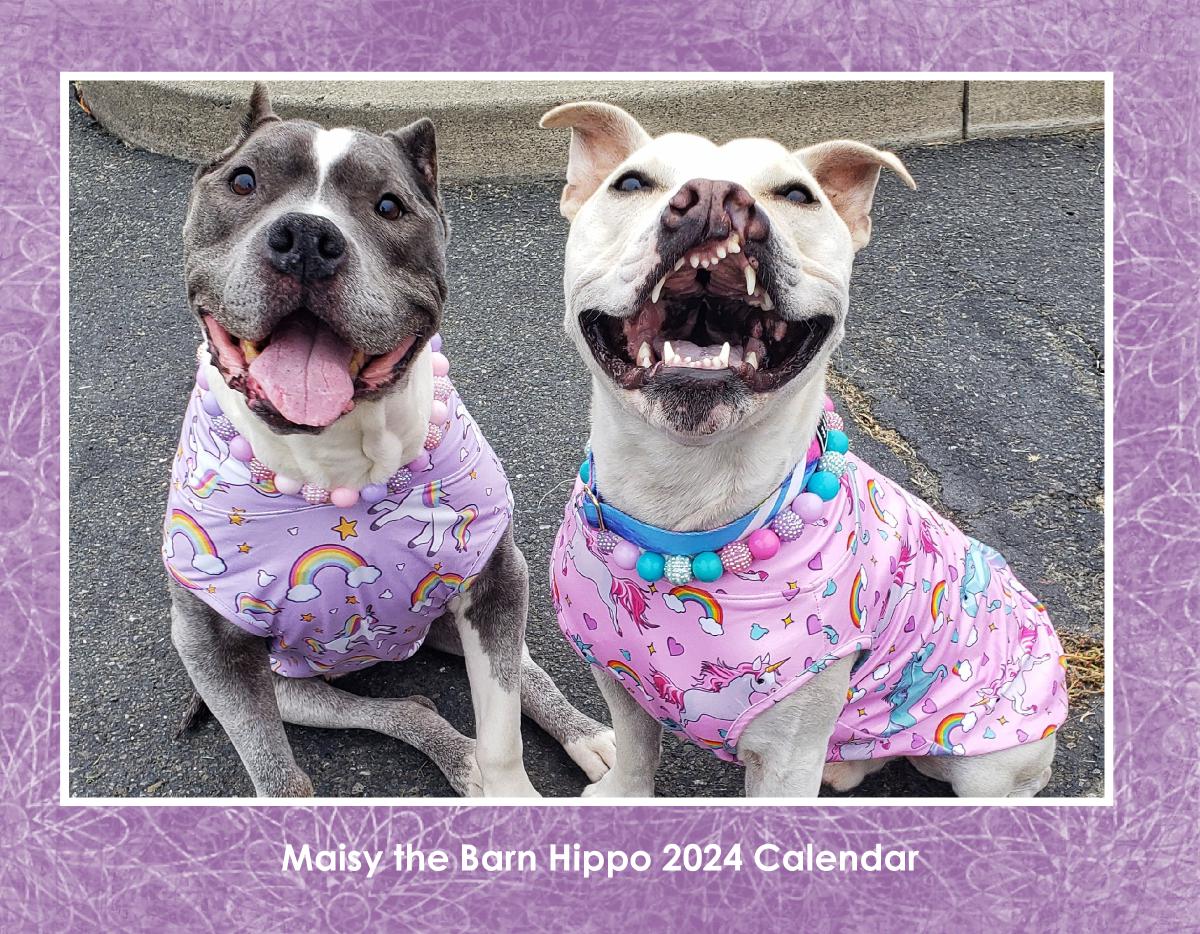 Maisy the Barn Hippo Store | Create Photo Calendars