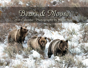 Creations by Nadja Rider Store | Create Photo Calendars