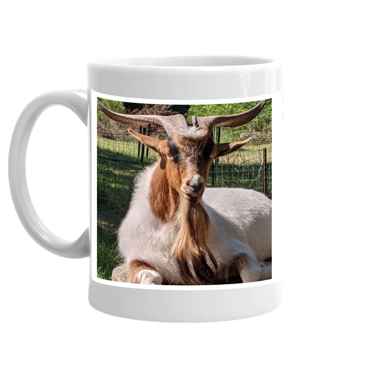 Mike The Goat Guys Goatastic Store Store | Create Photo Calendars