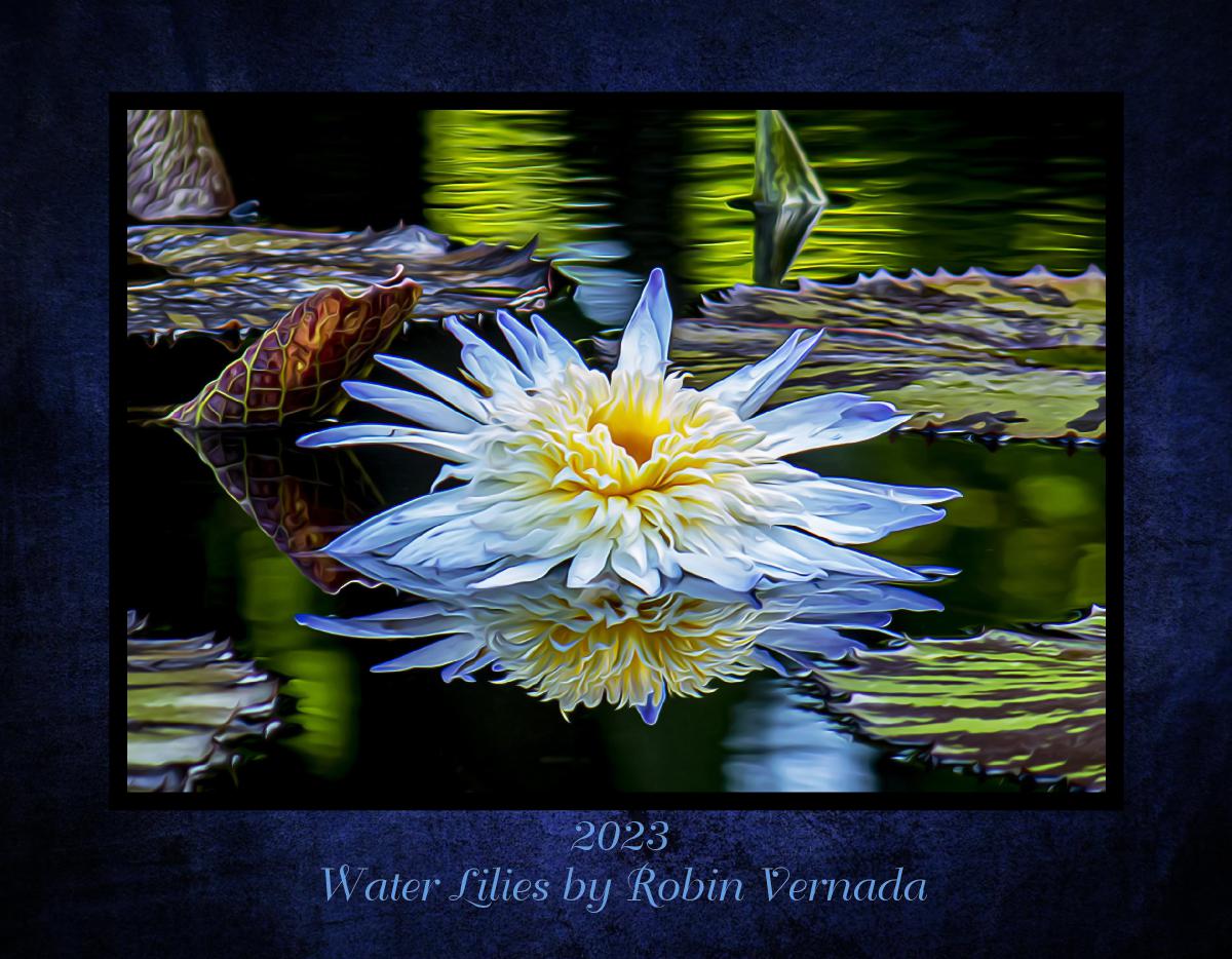 Water Lilies 2023 Calendar | Create Photo Calendars