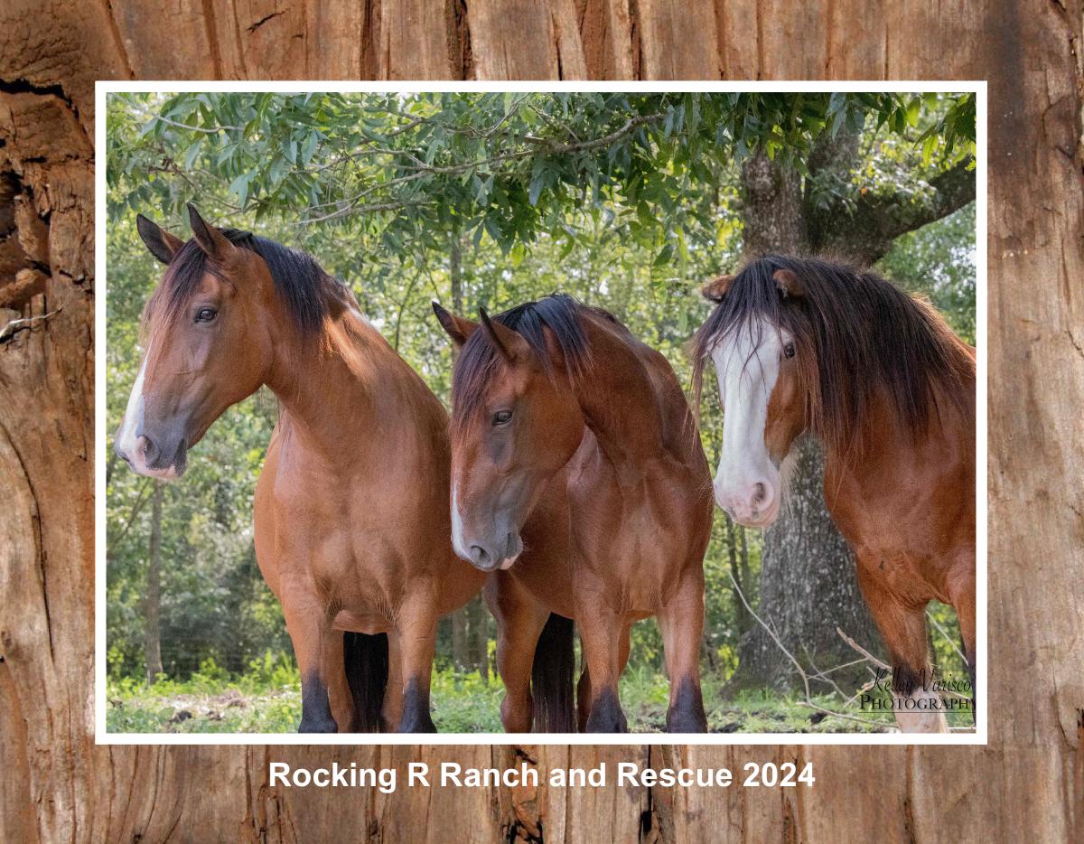 ROCKING R RANCH AND RESCUE Store | Create Photo Calendars