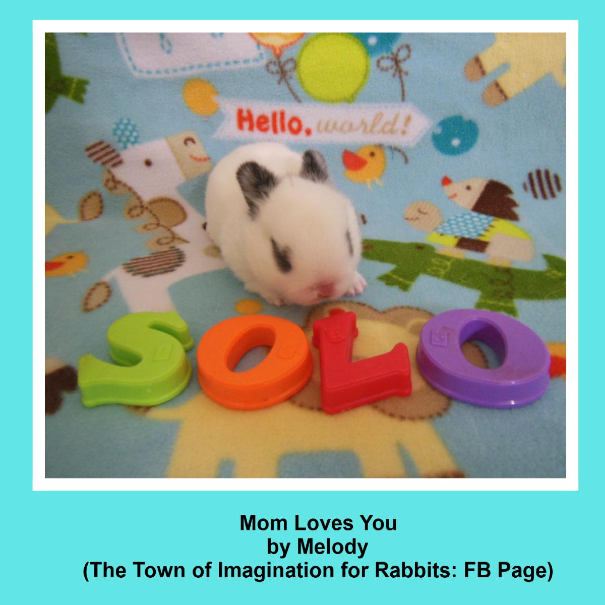 Custom Photo Calendars For Sale | Create Photo Calendars Store