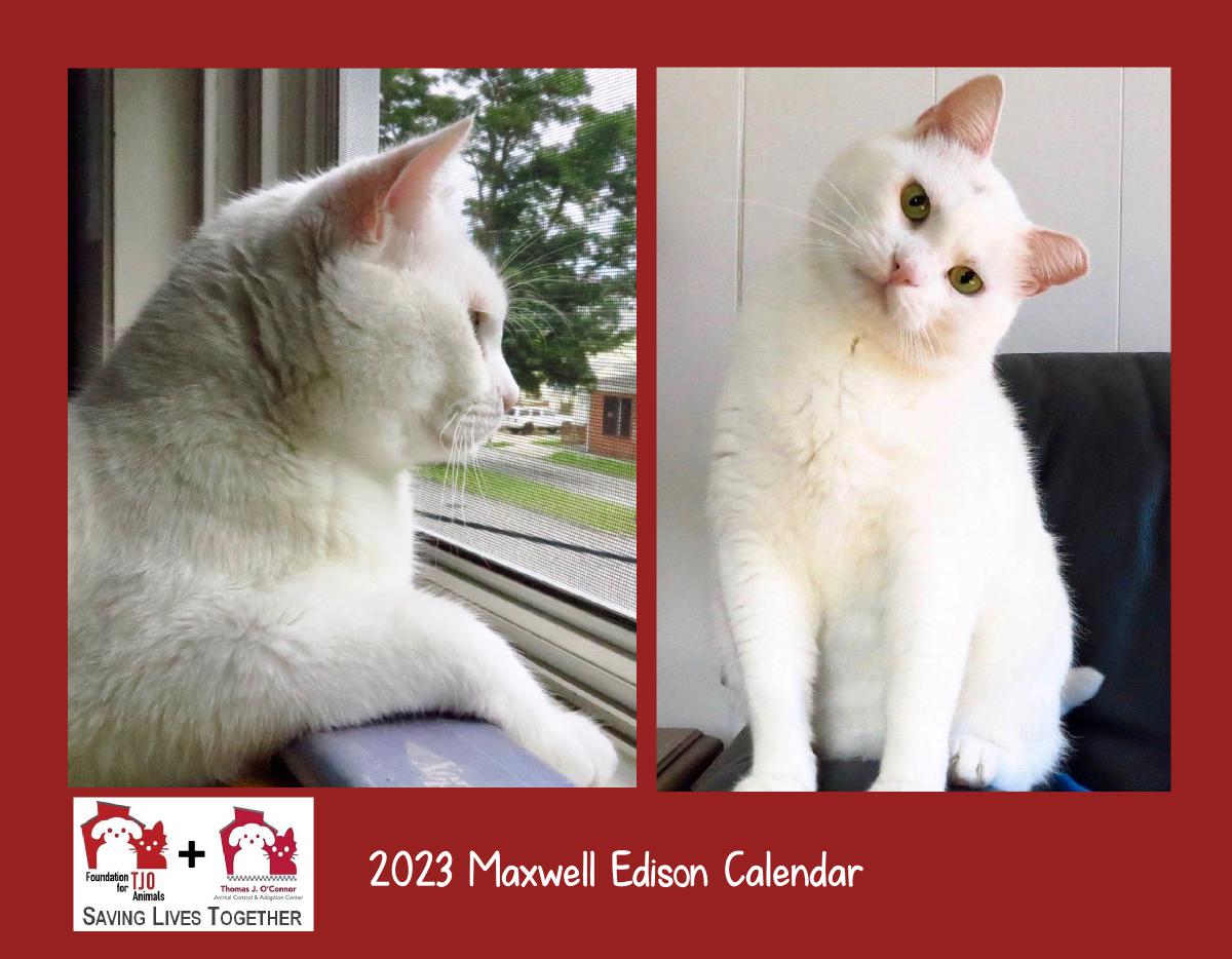 Maxwell Edison 2023 Wall Calendar | Create Photo Calendars