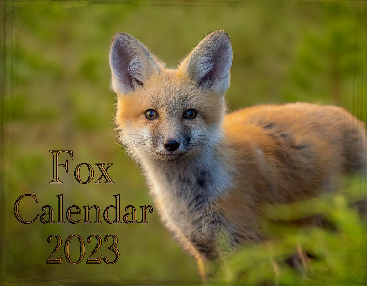 Fox Calendar 2023 | Create Photo Calendars